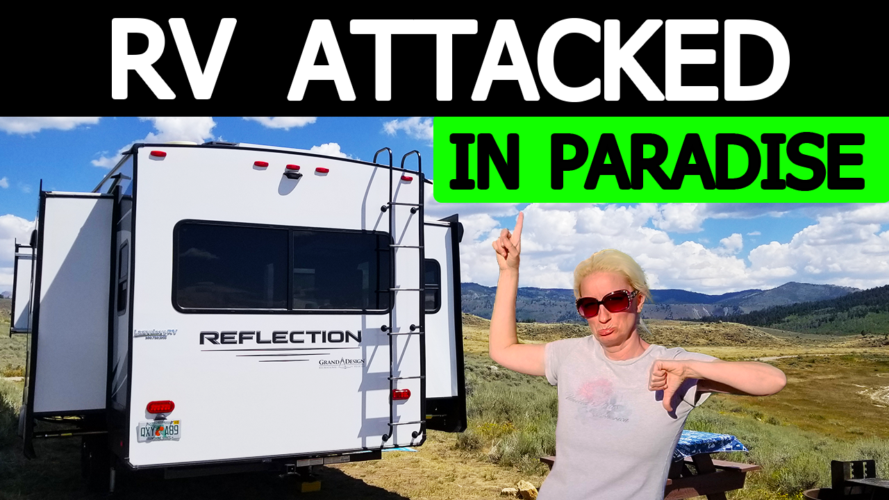 Our RV Is Under Attack, Tips For RV Camping | Full Time RV Life